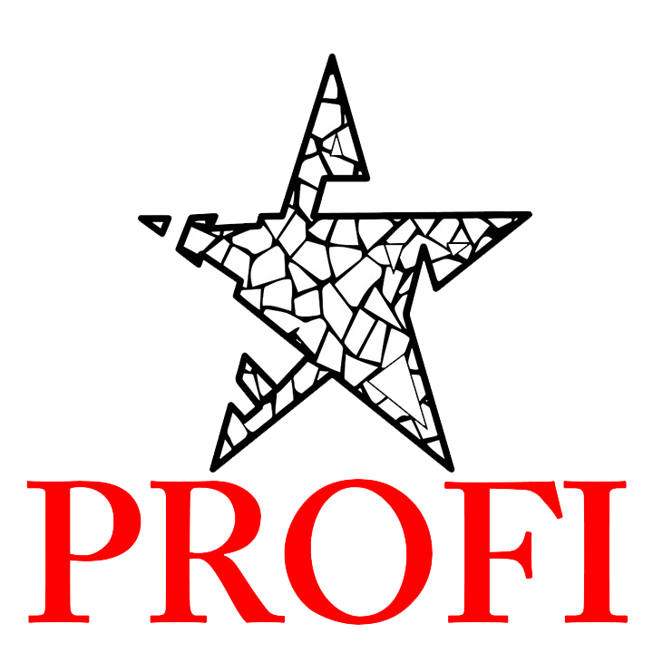 Profi Construction – All Your Construction Needs